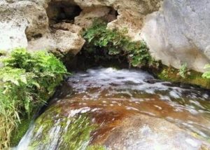 Turismo – Municipio de Rayones, N.L.